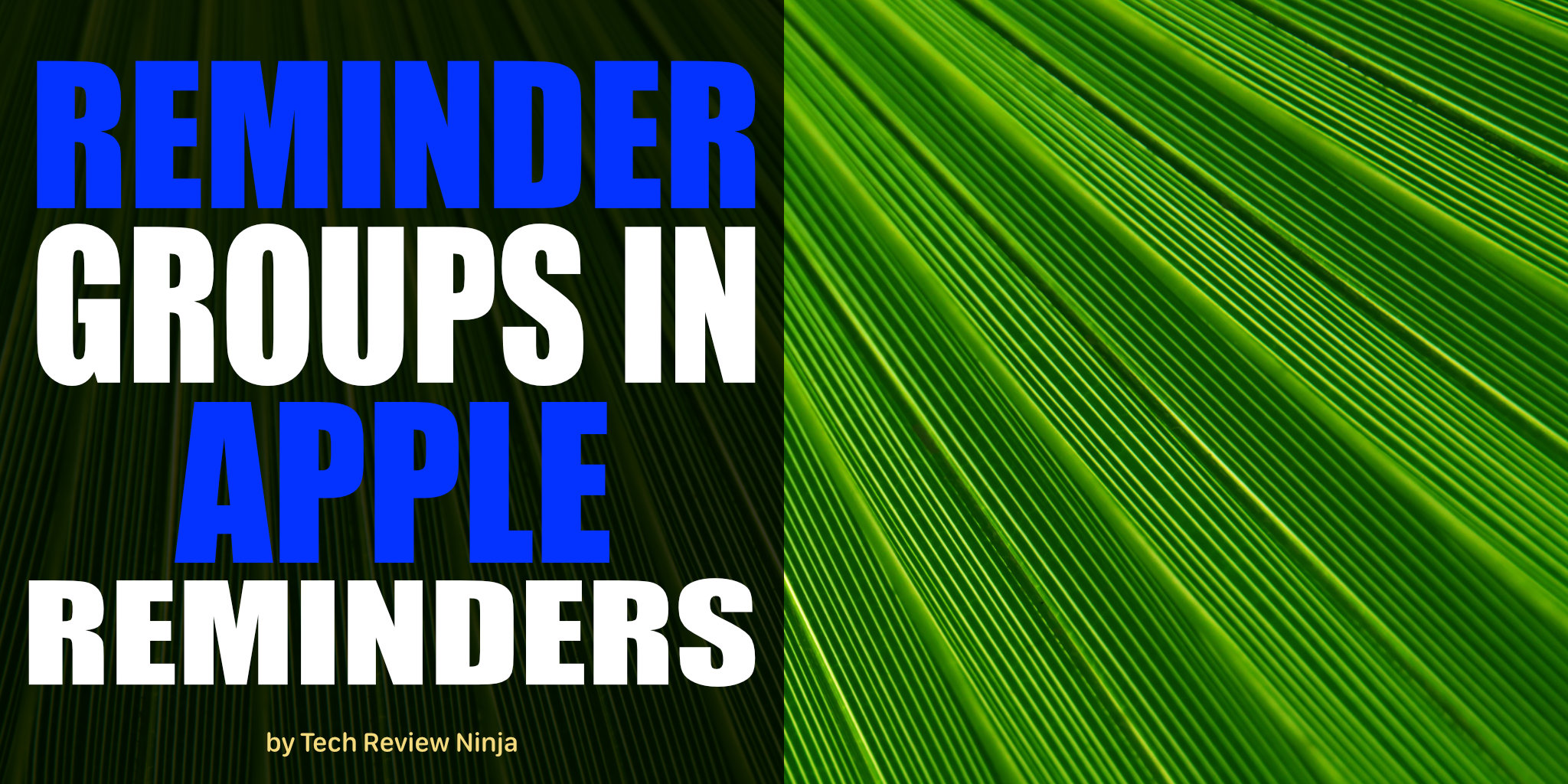 How to Create Reminder Groups in Apple Reminders on the iPhone - Tech ...