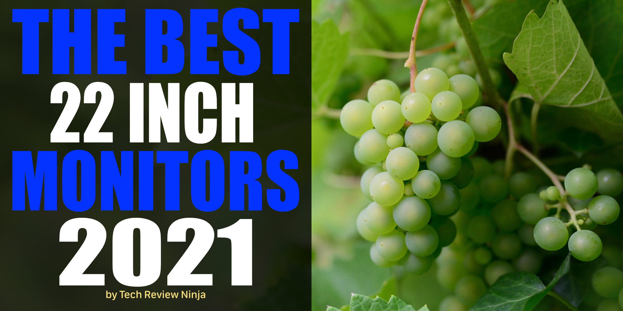 The Best 22 Inch Monitors for 2021 - Tech Review Ninja