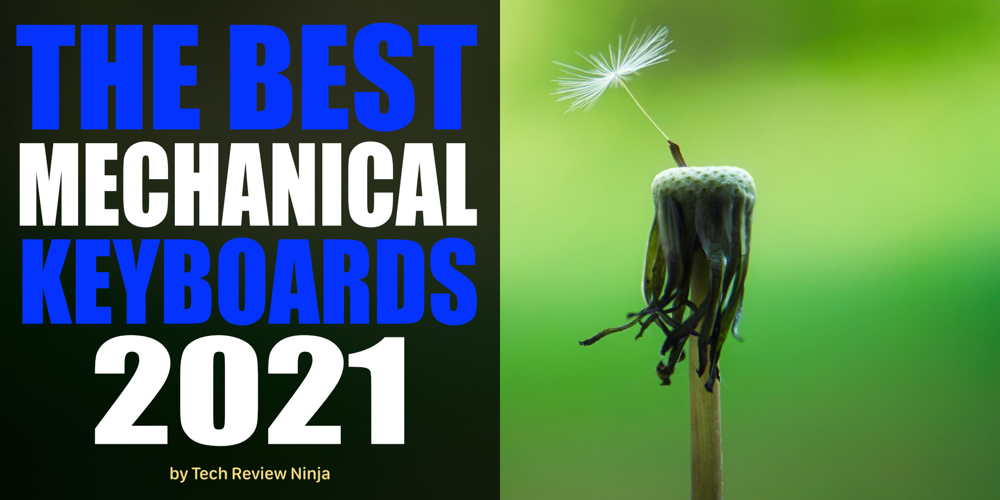 The Best Mechanical Keyboards for 2021 - Tech Review Ninja